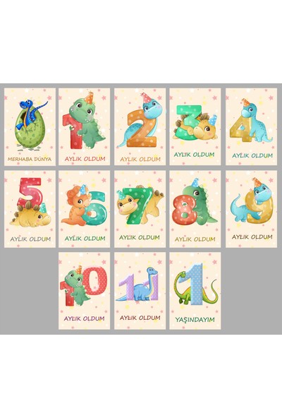 Tellgraf Dinazorlu Bebek Aylık Kartları