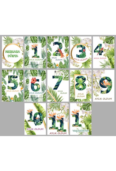 Tellgraf Tropik Temalı Bebek Aylık Kartları