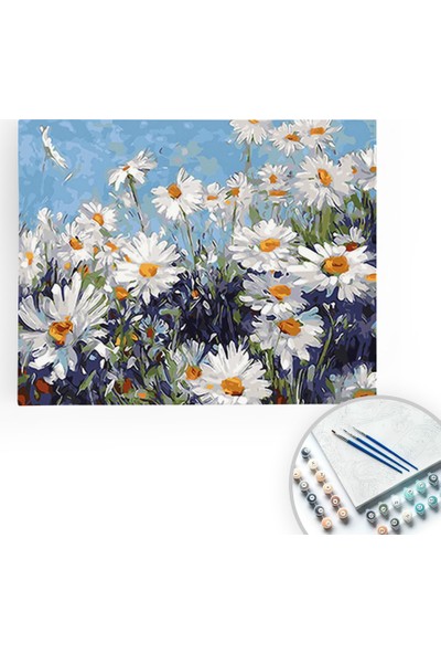 Bir Kutu Sanat Papatya Tarlası - Tuval Üzerine Sayılarla Boyama 40 x 50 cm Kasnaklı