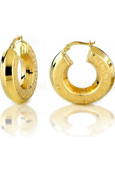 Alyanaklar Modern Sarı Altın Küpe