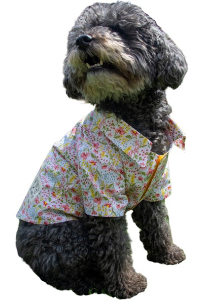 Oli And Lui Light Blossom Köpek Gömleği Oli And Lui Light Blossom Köpek Gömleği