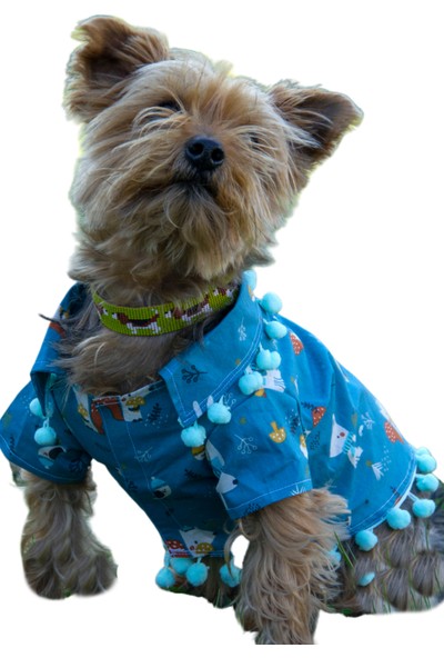 Oli And Lui Love Of Winter Köpek Gömleği