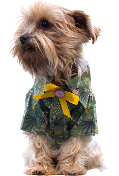 Oli And Lui Parrot Köpek Gömleği Oli And Lui Parrot Köpek Gömleği