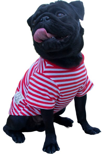 Ol And Lui Red Stripes Köpek Tişörtü