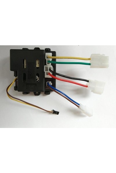 Pilsan Uzaktan Kumanda Alıcı 12V 20A 2.4 Ghz Çift Kişilik