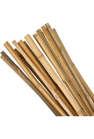Fidan Sahası Fidan Destek Çubuğu Kamış 140-150 cm 25 Adet Fidan Sahası Fidan Destek Çubuğu Kamış 140-150 cm 25 Adet