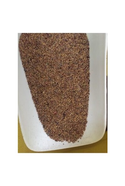 Agrobazaar Gezen Tavuk Yoncası Tohumu 1 kg