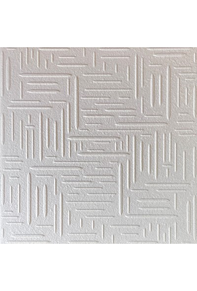 Has Yıldız Çizgi Strafor Dekoratif Tavan Kaplama D15 13 M2- 52'li Kare Panel Has Yıldız Çizgi Strafor Dekoratif Tavan Kaplama D15 13 M2- 52'li Kare Panel