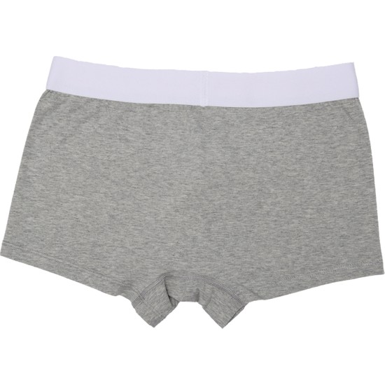 ADAM BOXES Boxer Trunk Neo-Cosy 3'lü Paket - Gri Fiyatı