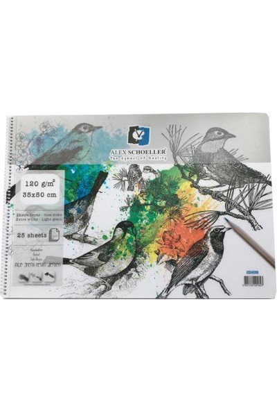 Alex Schoeller Resim Defteri 120 gr - 25 Yaprak 35 x 50 cm