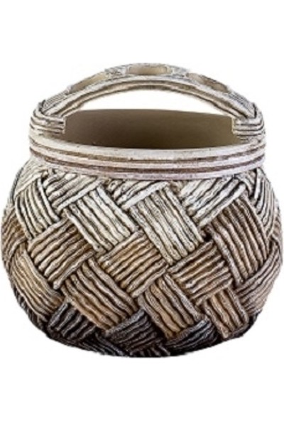 Primanova Arya Diş Fırçalık