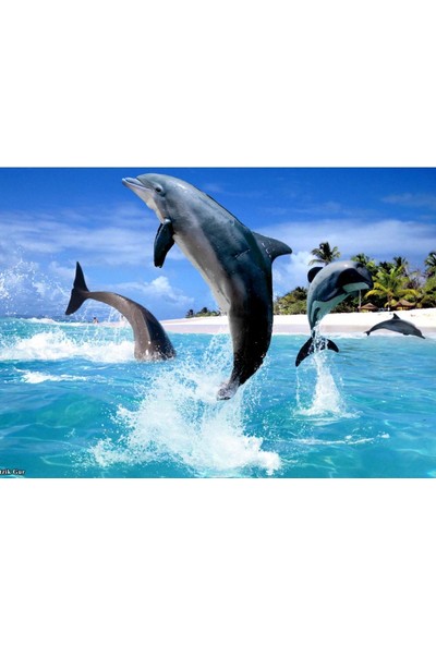 Güven Serigrafi Yunuslar 1000 Parça Ahşap Puzzle Yapboz