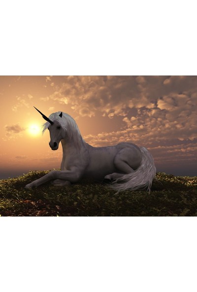 Güven Serigrafi Unicorn 5 1000 Parça Ahşap Puzzle Yapboz Güven Serigrafi Unicorn 5 1000 Parça Ahşap Puzzle Yapboz