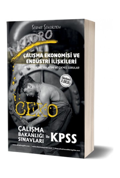 Çalışma Ekonomisi ve Endüstri Ilişkileri - Serhat Şendilmen