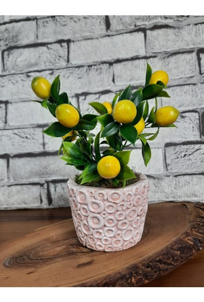Arkeon Home Yapay Limon Sağacı Pembe Seramik Saksı