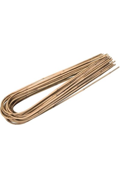 Tacirdepoticaret U Şekinde Fidan Destek Çubuğu (150 Cm) 1'li Tacirdepoticaret U Şekinde Fidan Destek Çubuğu (150 Cm) 1'li