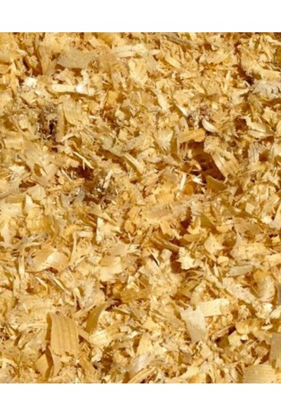 Msm Evcil Hayvan Talaşı 2 kg