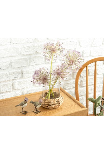 English Home Marva Cam Vazo 19X19X24 cm Şeffaf