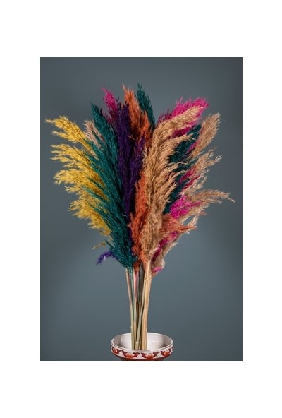 İndirimli Pazar Şoklanmış 15LI Pampas Otu 100 cm