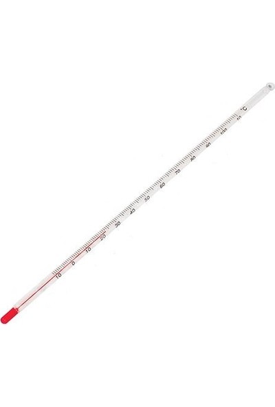 Isolab Cam Termometre -20/110°C Isolab Cam Termometre -20/110°C