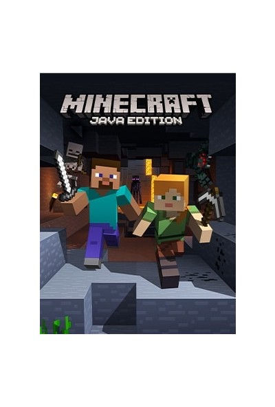 Microsoft Minecraft Java Edition Microsoft Minecraft Java Edition