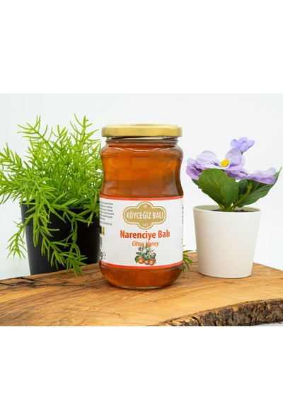 Köyceğiz Balı Narenciye Balı 450 G Cam Kavanoz Köyceğiz Balı Narenciye Balı 450 G Cam Kavanoz