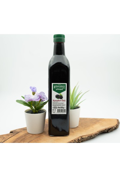 Köyceğiz Yöresel Karadut Özü 800 G