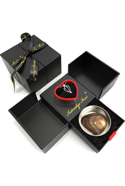 Istiridye Inci Altın Kaplama Tek Taş Kolye Seti (Sihirli Küp)