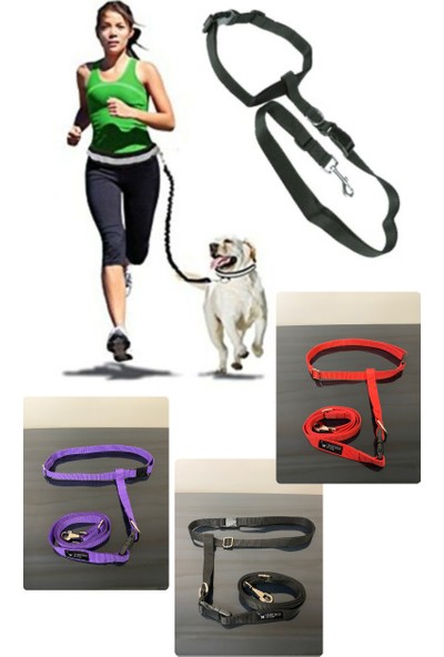 Leash Shop Eller Serbest Köpek Gezdirme Bel Tasması Turuncu Leash Shop Eller Serbest Köpek Gezdirme Bel Tasması Turuncu