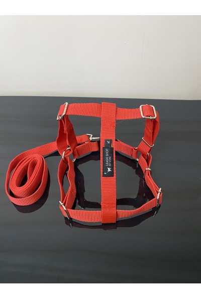 Leash Shop -Kırmızı- Köpek Göğüs Bel Tasma Takımı Xl Beden (65-75 Cm)