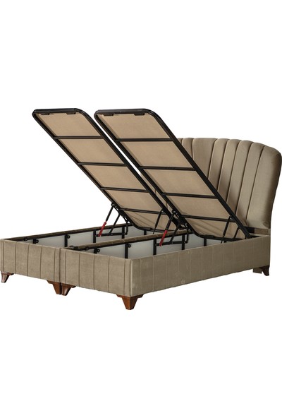 Hammak Vera Baza Başlık 120 Hammak Vera Baza Başlık 120