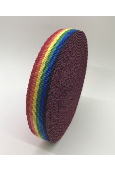 Globe 2,5 cm Gökkuşağı Kolon - Şerit - Dar Dokuma - 10 Mt.