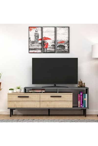 Demonte Dekor Niva Tv Ünitesi Safir Meşe - Antrasit