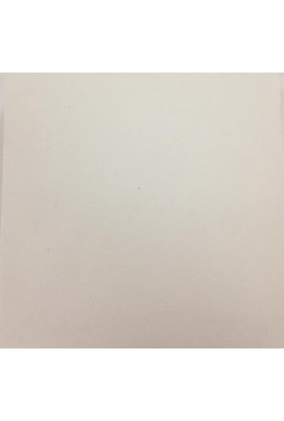 Ponart Universal Tuval 14 x 14 cm Ponart Universal Tuval 14 x 14 cm