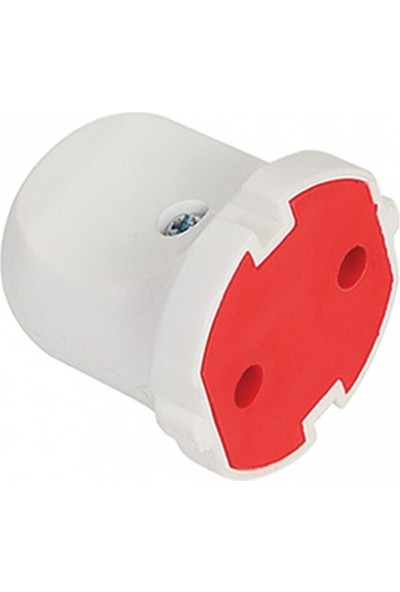 Orel Topraksız Dişi Fiş