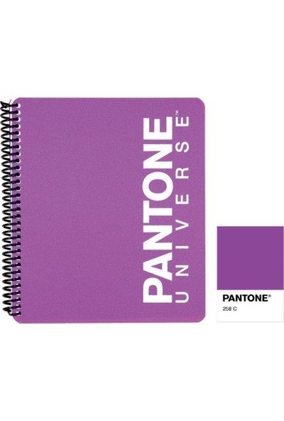 Pantone Pp Kapak Large Boy Çizgili Defter Mor 93004-6
