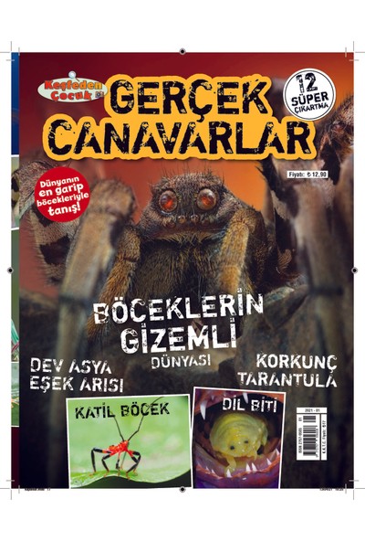 Keşfeden Çocuk Gerçek Canavarlar Böceklerin Gizemli Dünyası