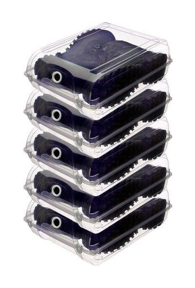 Hambag Şeffaf Ayakkabı Kutusu 5'li Bot Kutusu Hambag Şeffaf Ayakkabı Kutusu 5'li Bot Kutusu