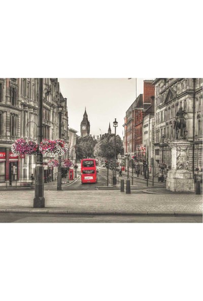 Anatolian 1500 Parça Londra 4548