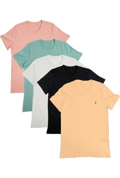 Enuygunenmoda Erkek 5li Slim Fit Basic T-Shirt Çok Renkli