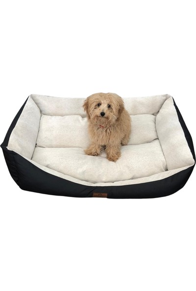 Petsygoo Kutu Köpek Yatağı Makinede Yıkanabilir