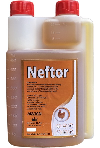 Neftor modelleri ve fiyatları