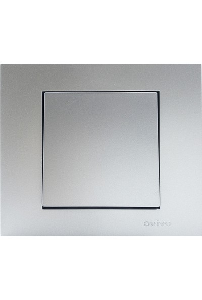 Ovivo Grano Gümüş Anahtar