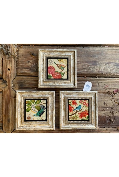 Oscar Stone Ithal Çerçeveli Taş Baskılı Duvar Tablosu Seti ( 20 x 20 Cm) 3 Lü Set -Oscar Stone Decor Oscar Stone Ithal Çerçeveli Taş Baskılı Duvar Tablosu Seti ( 20 x 20 Cm) 3 Lü Set -Oscar Stone Decor