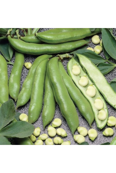 OnlineBahçem Köyden Doğal Bakla Fidesi (5 Adet)