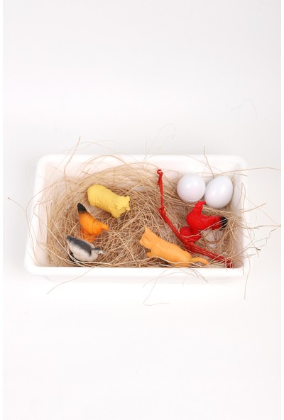 Nenna Montessori Kümes Hayvanlarım Duyusal Oyun Seti Nenna Montessori Kümes Hayvanlarım Duyusal Oyun Seti