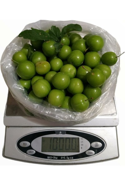 Alanya Özlem Erik Papaz Dalından Bol Sulu (Net 1 Kg) Alanya Özlem Erik Papaz Dalından Bol Sulu (Net 1 Kg)
