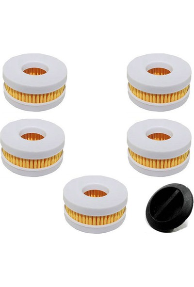 Landirenzo Gaz Kesici Filtre 5 Adet