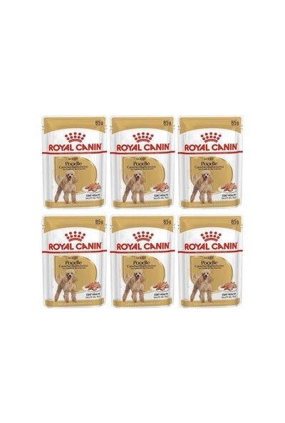 Royal Canin Adult Poodle Caniche Tüy Sagligi Destekleyici Yetiskin Köpek Konservesi 85GR 6 Adet Royal Canin Adult Poodle Caniche Tüy Sagligi Destekleyici Yetiskin Köpek Konservesi 85GR 6 Adet