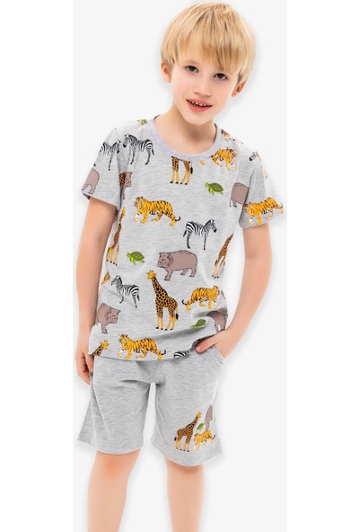 Breeze Erkek Çocuk Sortlu Takim Baskili Gri (2-6 Yaş)